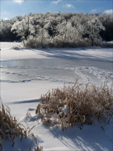 Winter in Maine | Hakusan Creation